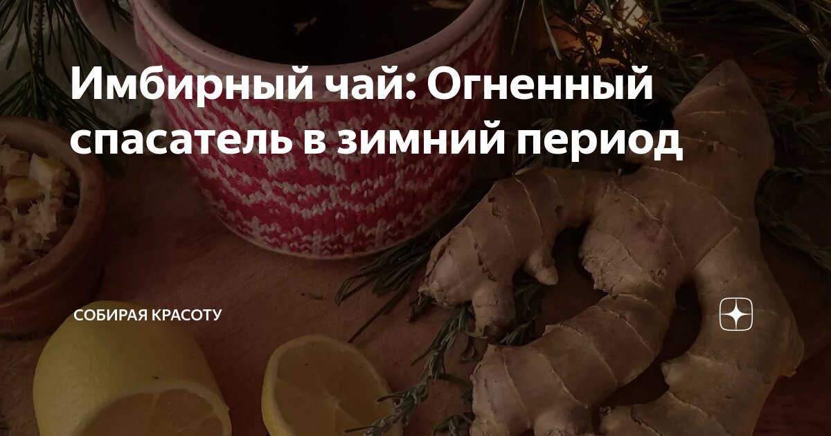 Имбирный чай: Огненный спасатель в зимний период | 🌿 СОБИРАЯ КРАСОТУ | Дзен