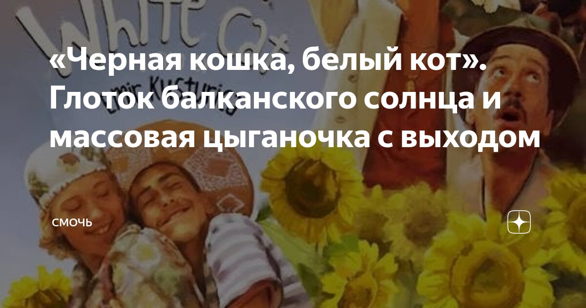 «Черная кошка, белый кот». Глоток балканского солнца и массовая ...