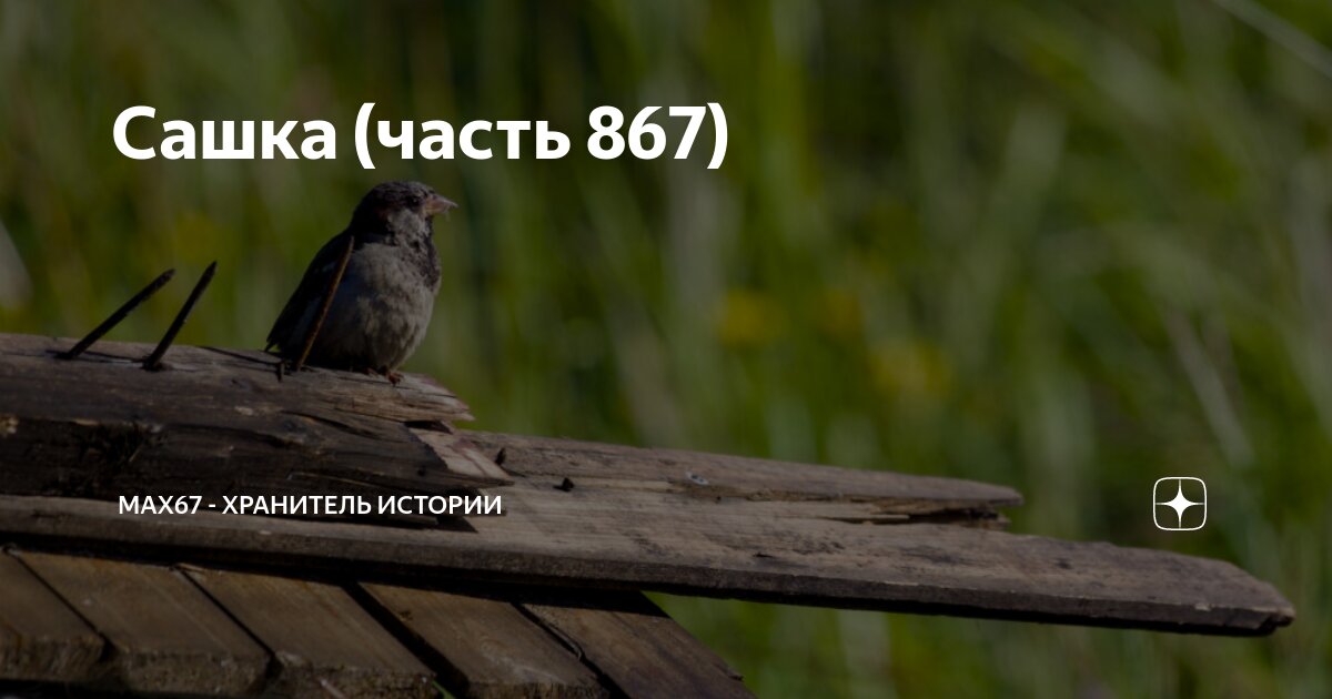 Сашка (часть 867) | MAX67 - Хранитель Истории | Дзен