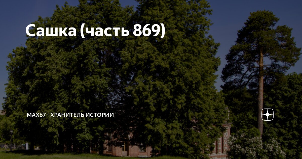 Сашка (часть 869) | MAX67 - Хранитель Истории | Дзен