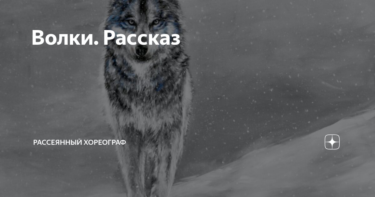 Волки. Рассказ | Рассеянный хореограф | Дзен