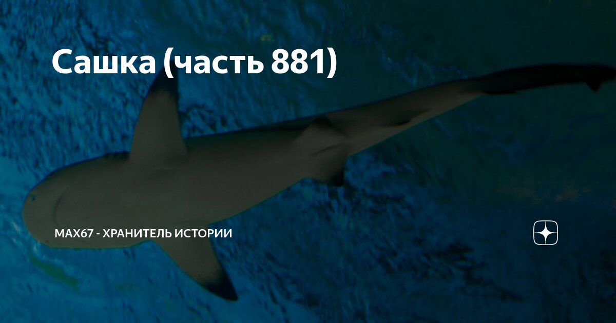Сашка (часть 881) | MAX67 - Хранитель Истории | Дзен