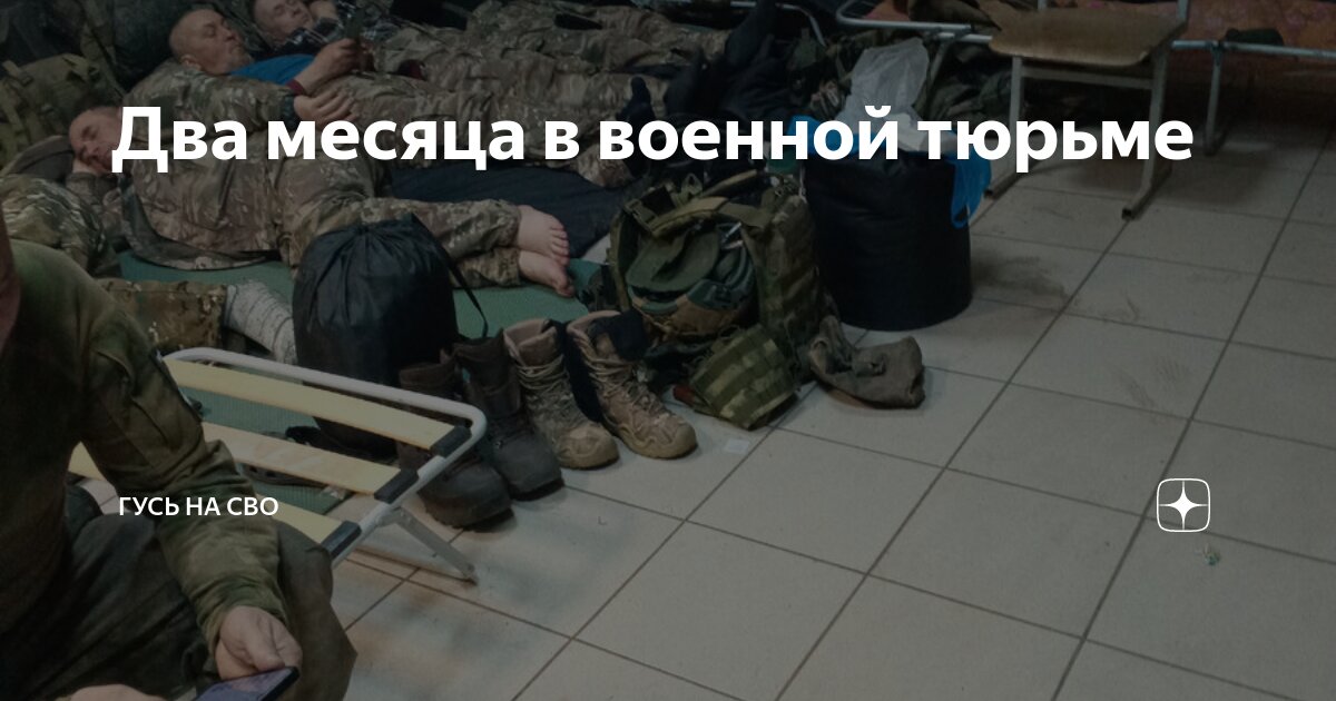 Два месяца в военной тюрьме | Гусь на СВО | Дзен