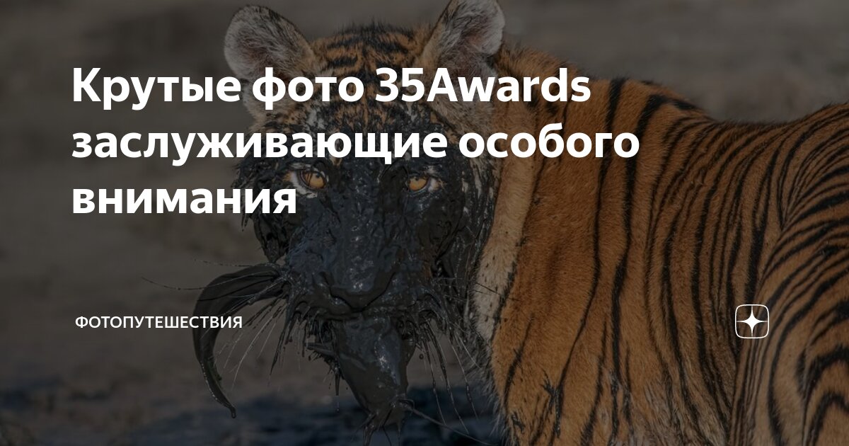 Крутые фото 35Awards заслуживающие особого внимания | Фотопутешествия | Дзен