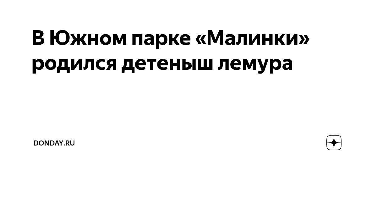 В Южном парке «Малинки» родился детеныш лемура | Donday.ru | Дзен
