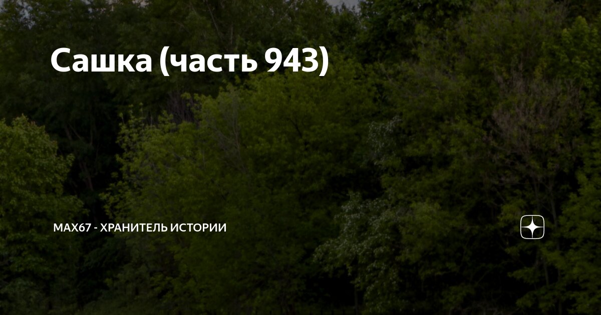 Сашка (часть 943) | MAX67 - Хранитель Истории | Дзен