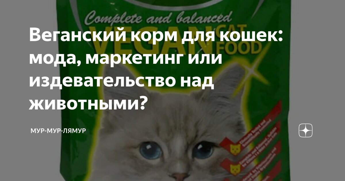 Веганский корм для кошек: мода, маркетинг или издевательство над ...