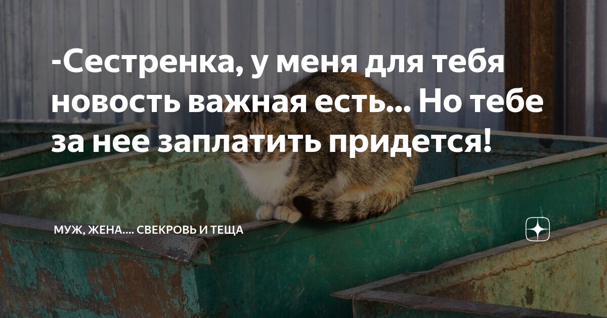 -Сестренка, у меня для тебя новость важная есть... Но тебе за нее ...