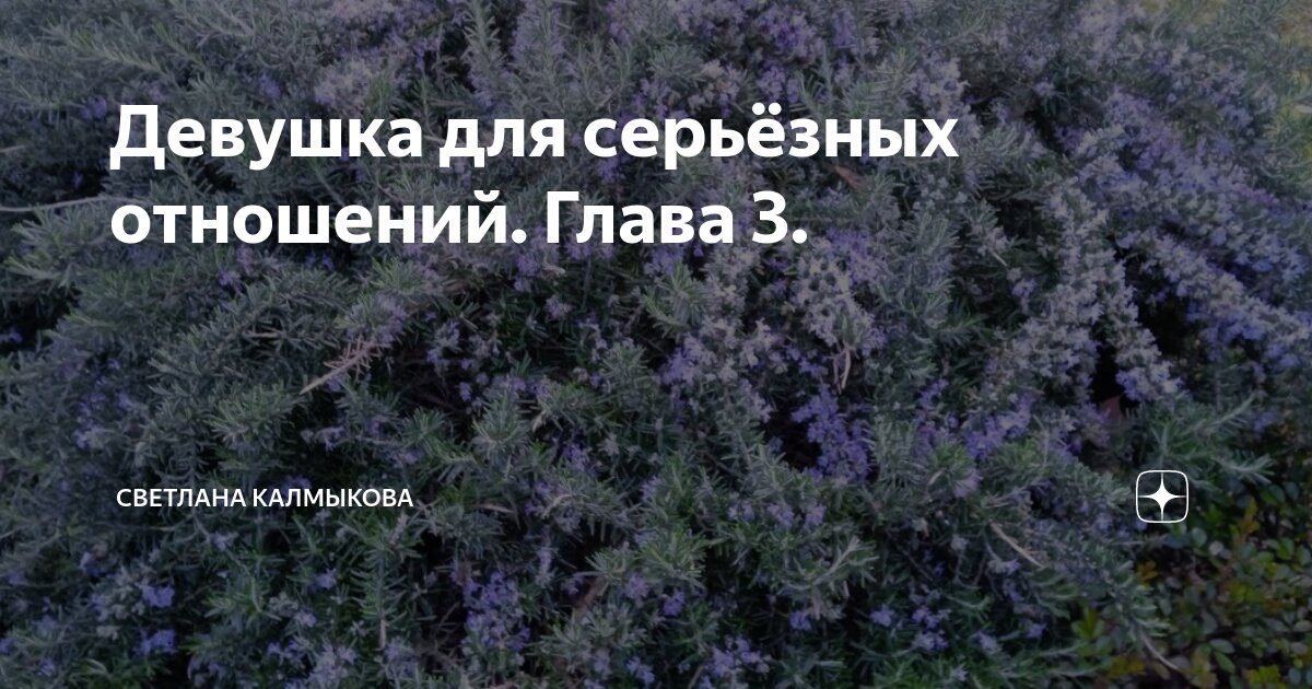 Девушка для серьёзных отношений Глава 3 Светлана Калмыкова Дзен