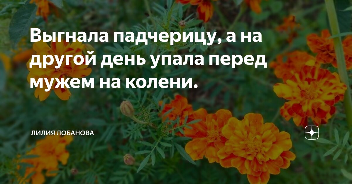 Выгнала падчерицу а на другой день упала перед мужем на колени