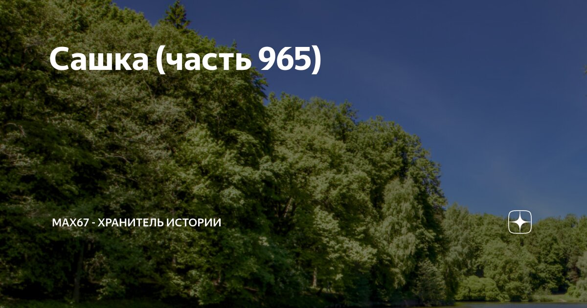 Сашка (часть 965) | MAX67 - Хранитель Истории | Дзен