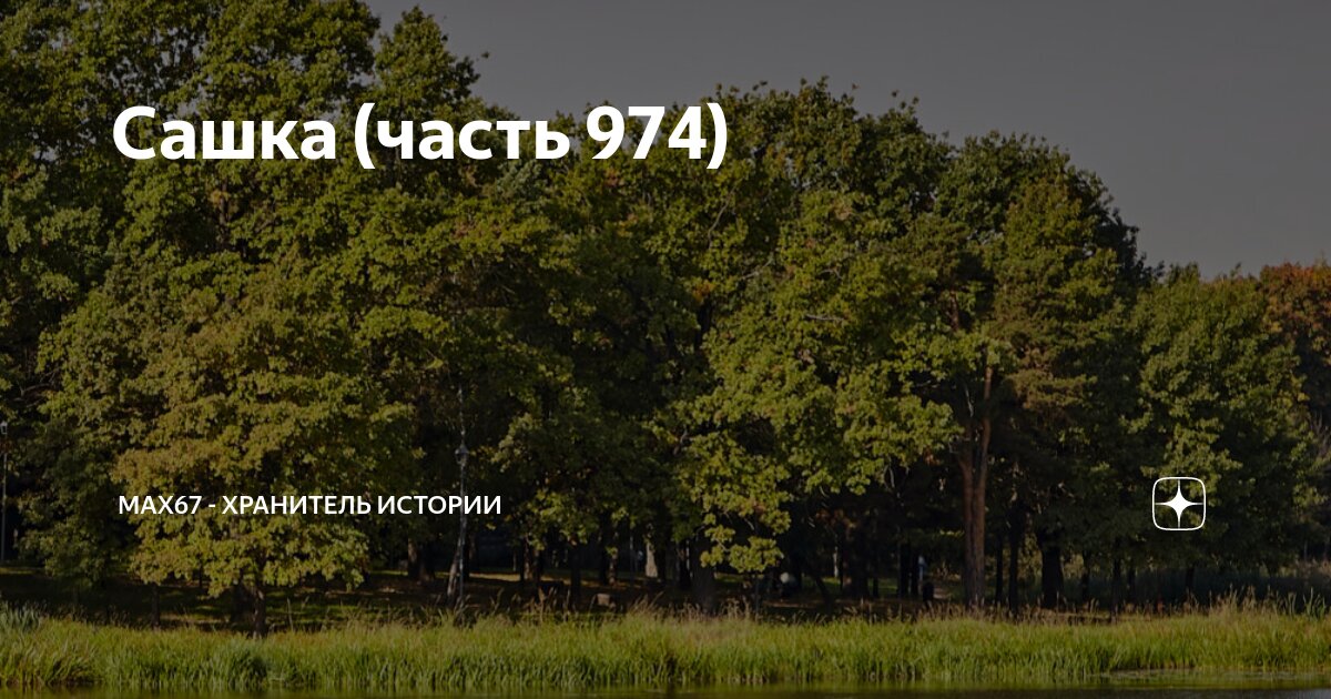 Сашка (часть 974) | MAX67 - Хранитель Истории | Дзен