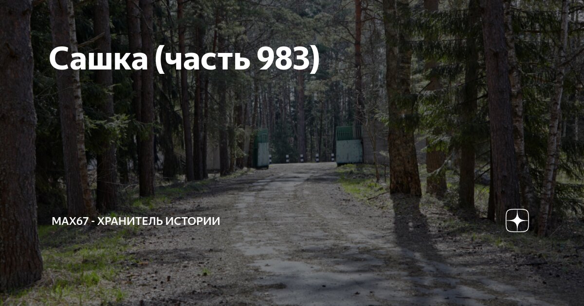 Сашка (часть 983) | MAX67 - Хранитель Истории | Дзен