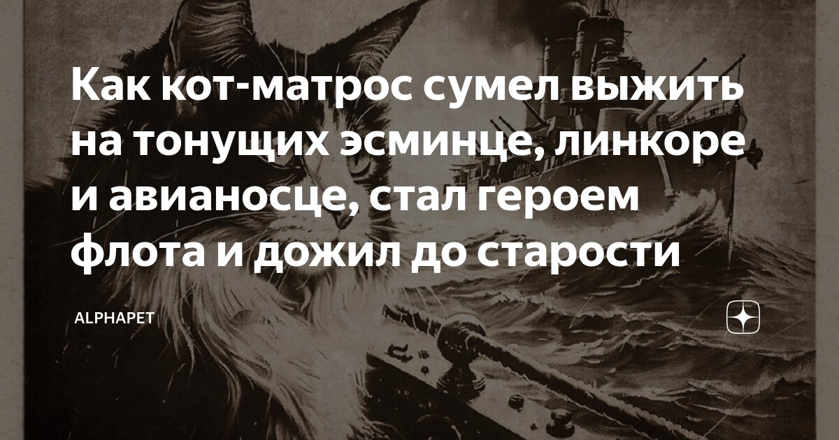 Как кот матрос сумел выжить на тонущих эсминце линкоре и авианосце