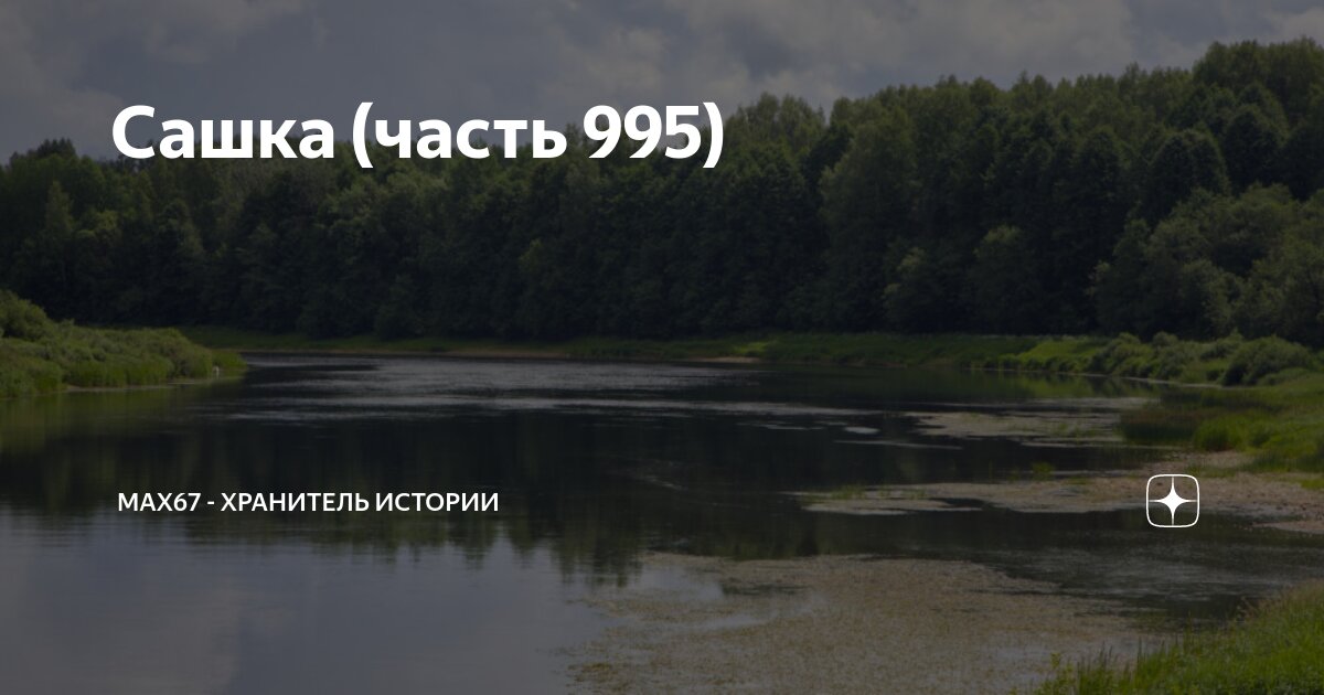 Сашка (часть 995) | MAX67 - Хранитель Истории | Дзен