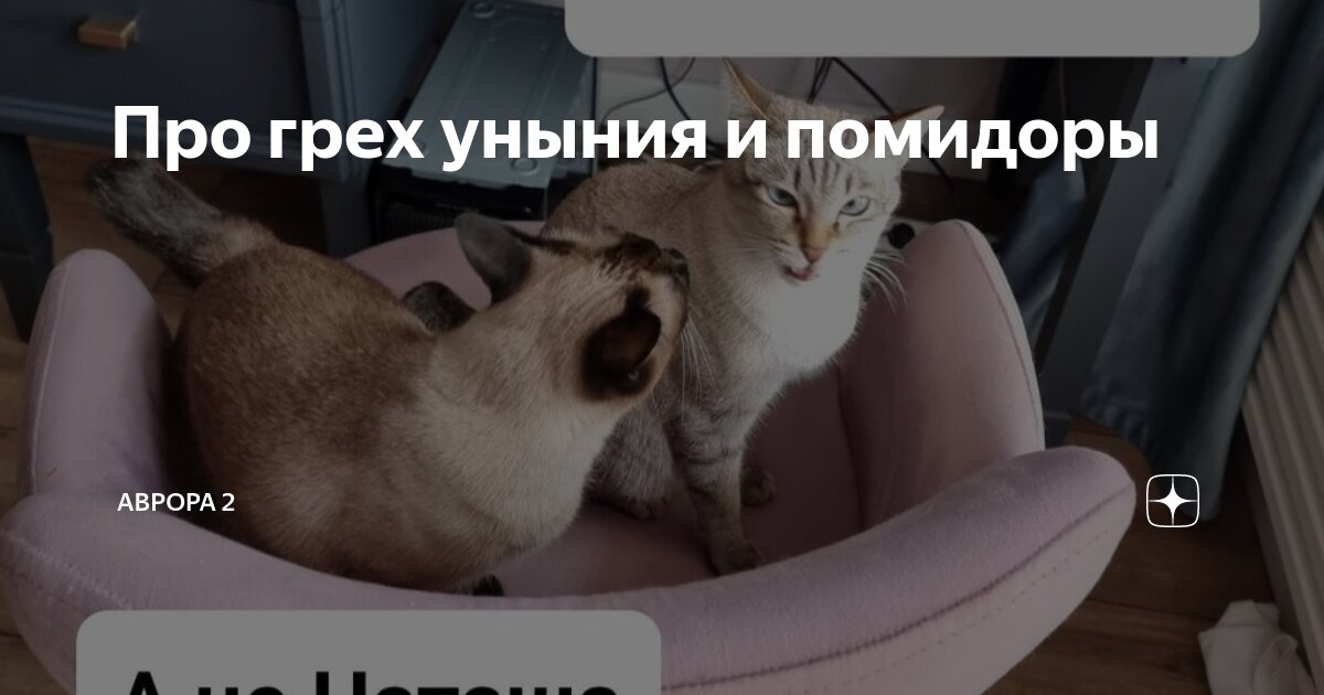 Про грех уныния и помидоры | АВРОРА 2 | Дзен