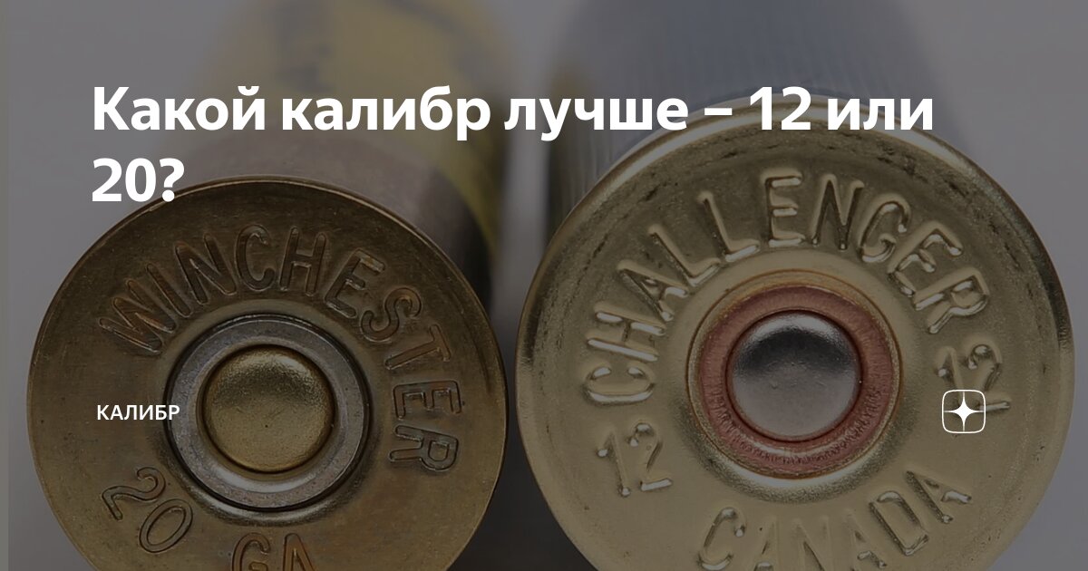 Какой калибр лучше – 12 или 20? | КАЛИБР | Дзен