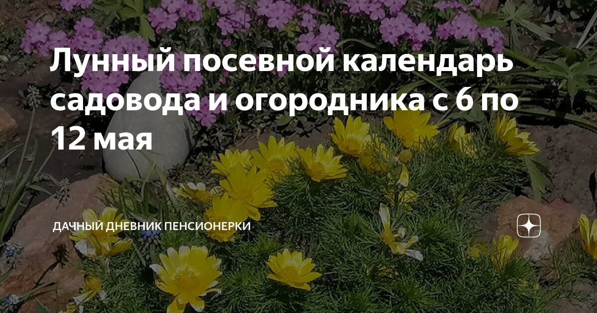 Лунный посевной календарь садовода и огородника с 6 по 12 мая Дачный