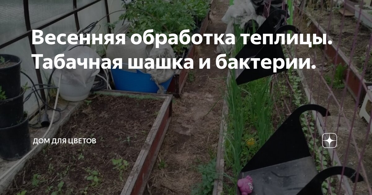 Весенняя обработка теплицы. Табачная шашка и бактерии. | Дом для цветов ...