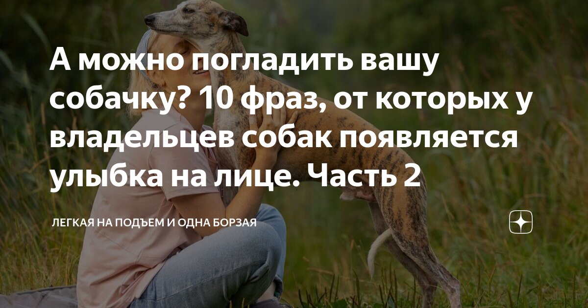 А можно погладить вашу собачку 10 фраз от которых у владельцев собак