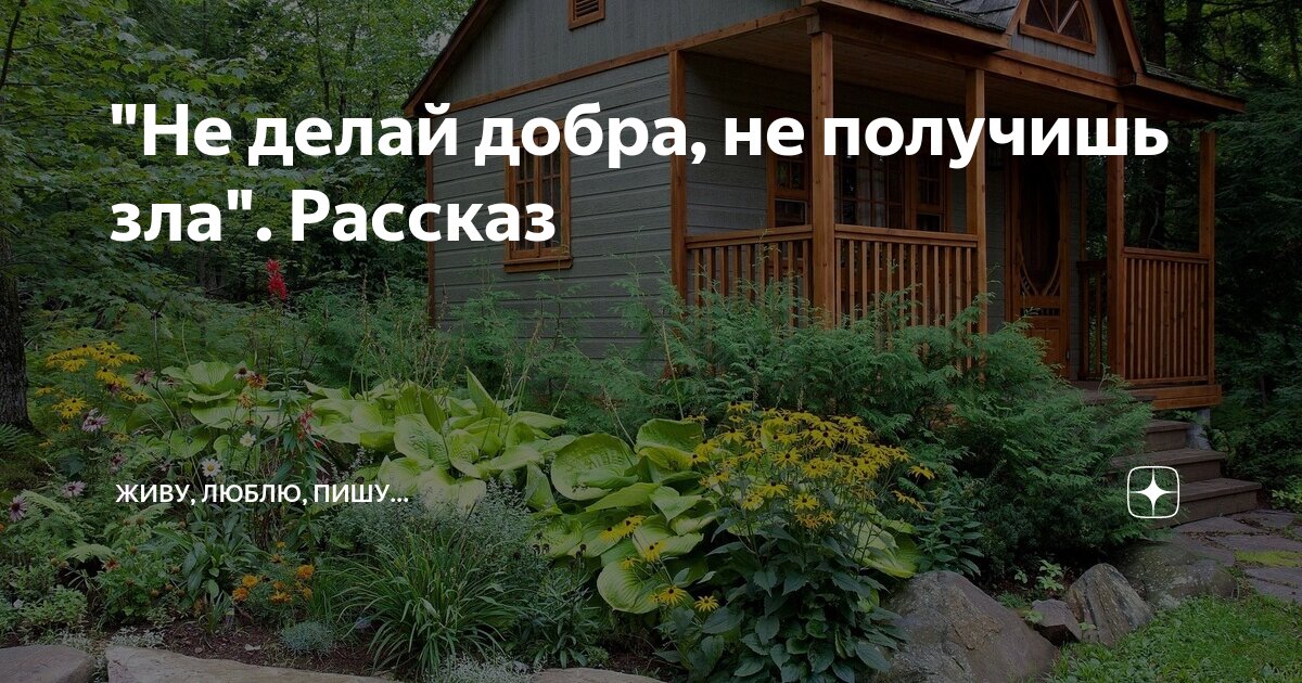 "Не делай добра, не получишь зла". Рассказ | Живу, люблю, пишу... | Дзен