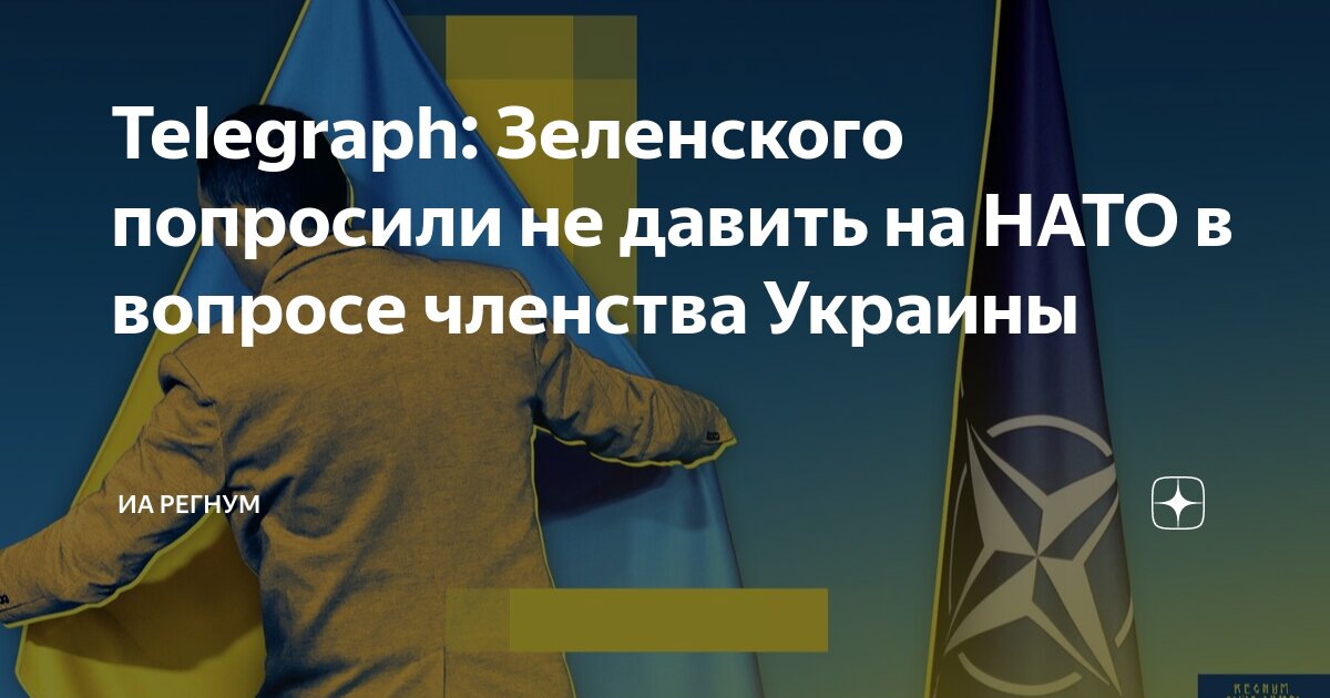 Telegraph: Зеленского попросили не давить на НАТО в вопросе членства ...