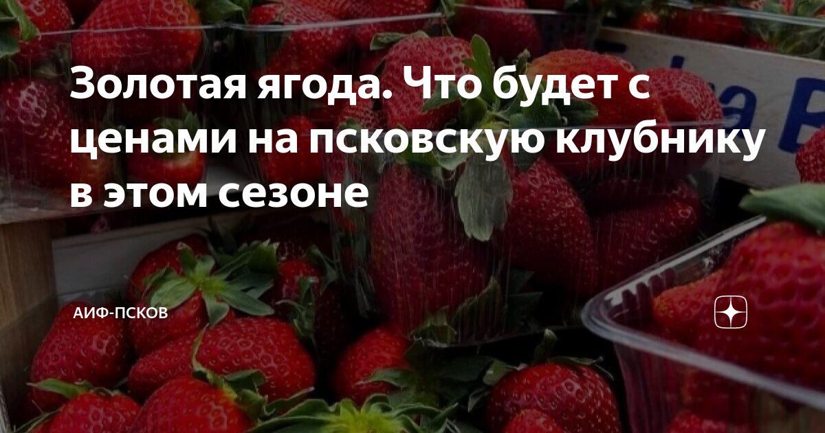 Золотая ягода. Что будет с ценами на псковскую клубнику в этом сезоне ...