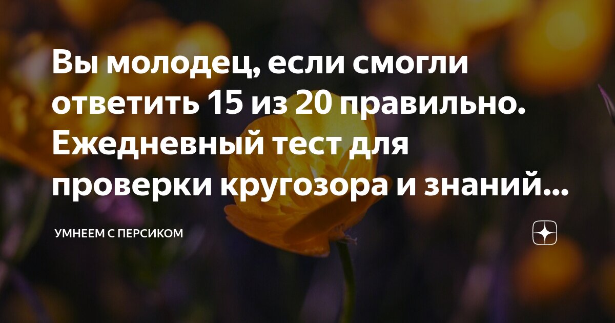 Вы молодец, если смогли ответить 15 из 20 правильно. Ежедневный тест ...