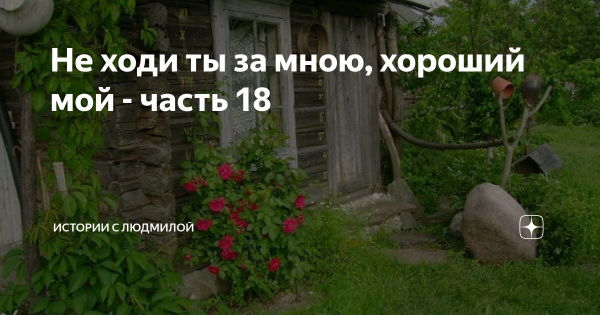 Не ходи ты за мною хороший мой часть 18 Истории с Людмилой Дзен