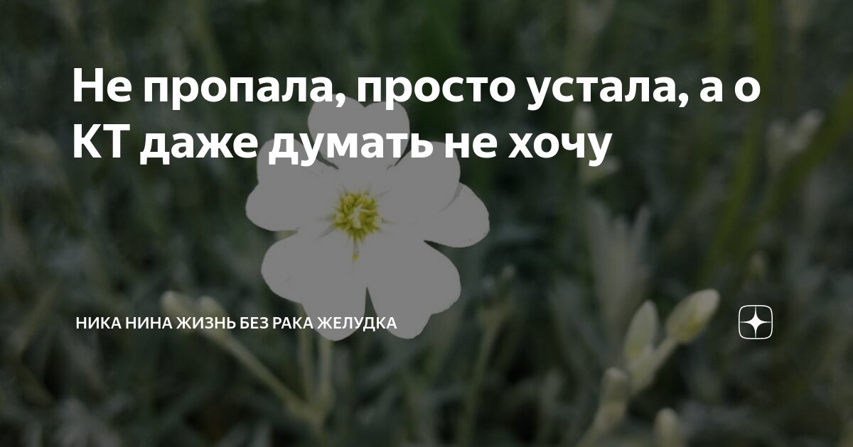 Не пропала, просто устала, а о КТ даже думать не хочу | Жизнь после ...