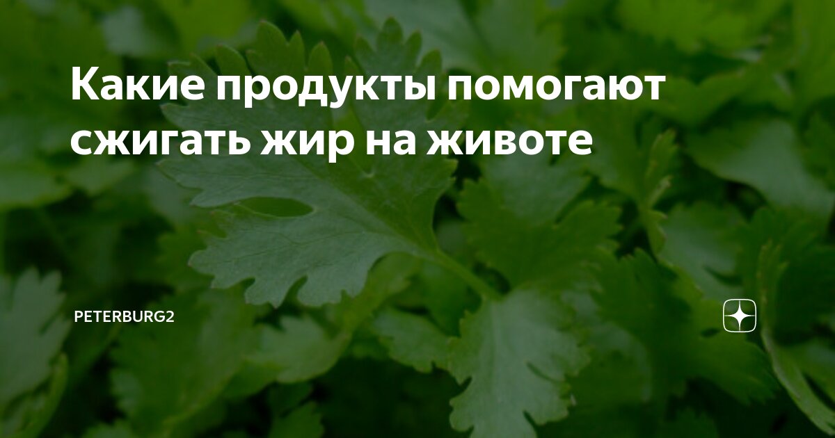 Какие продукты помогают сжигать жир на животе | PETERBURG2 | Дзен