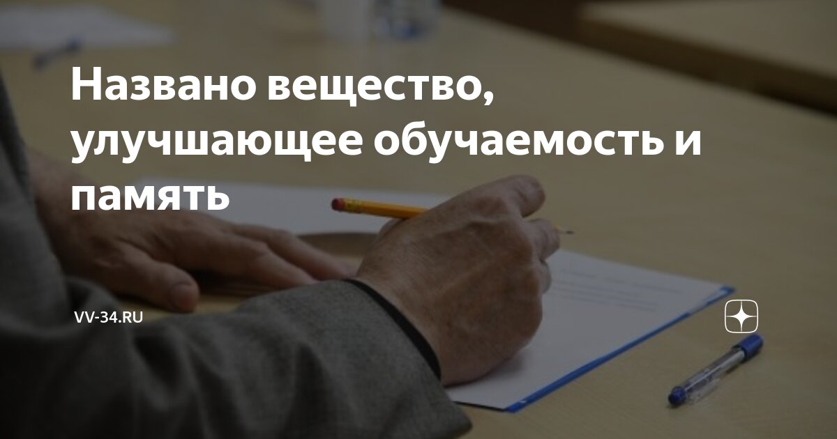 Названо вещество, улучшающее обучаемость и память | vv-34.ru | Дзен