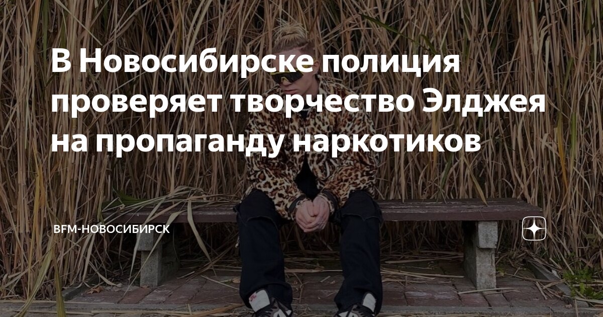 В Новосибирске полиция проверяет творчество Элджея на пропаганду ...