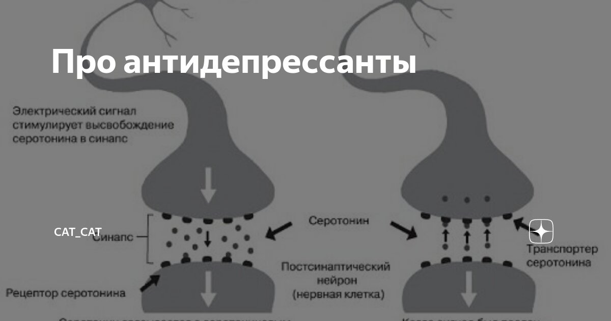 Про антидепрессанты | Cat_Cat | Дзен