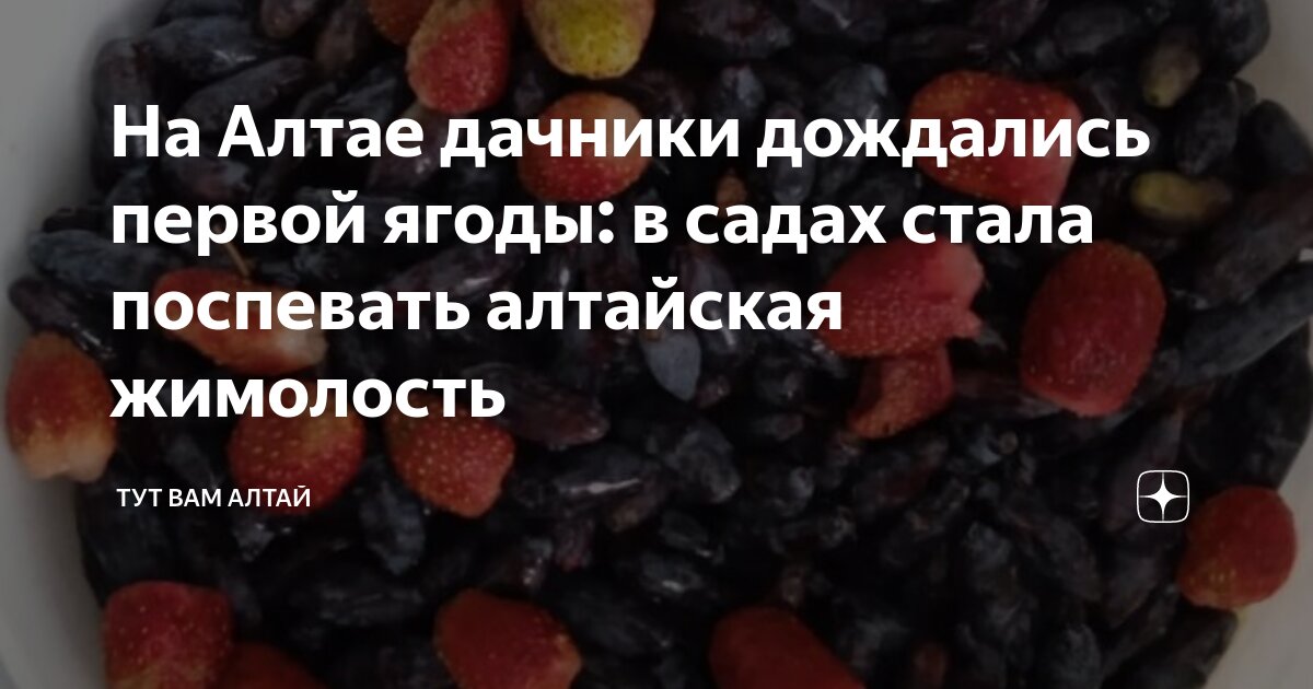 На Алтае дачники дождались первой ягоды: в садах стала поспевать ...
