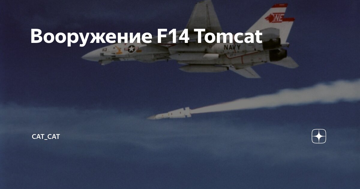 Вооружение F14 Tomcat | Cat_Cat | Дзен