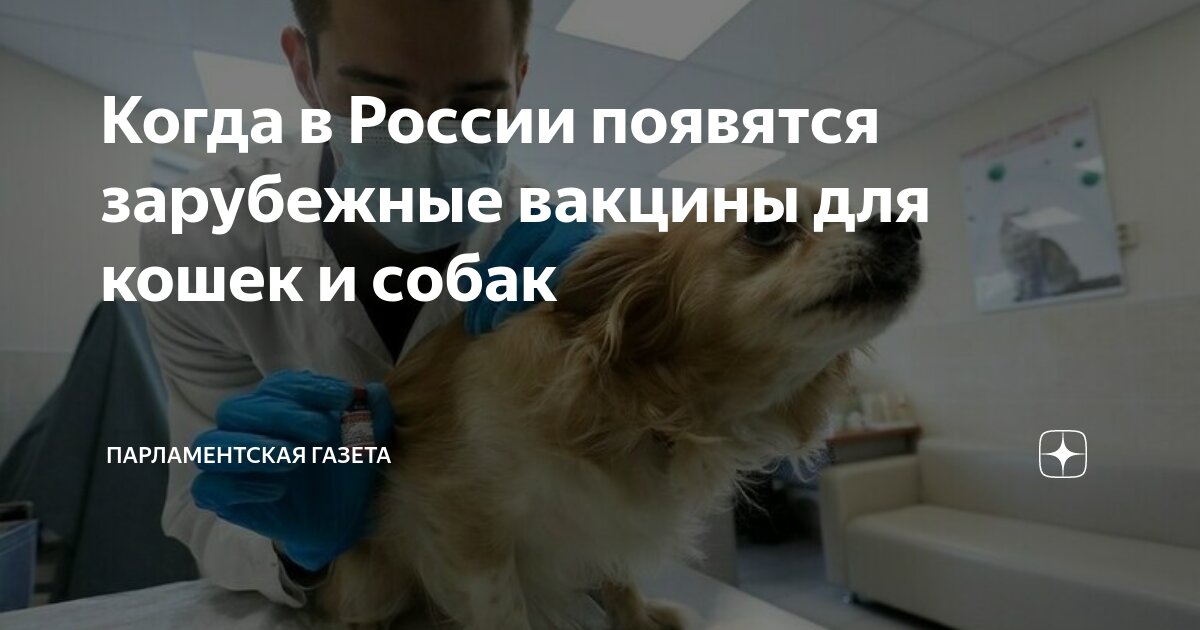 Когда в России появятся зарубежные вакцины для кошек и собак