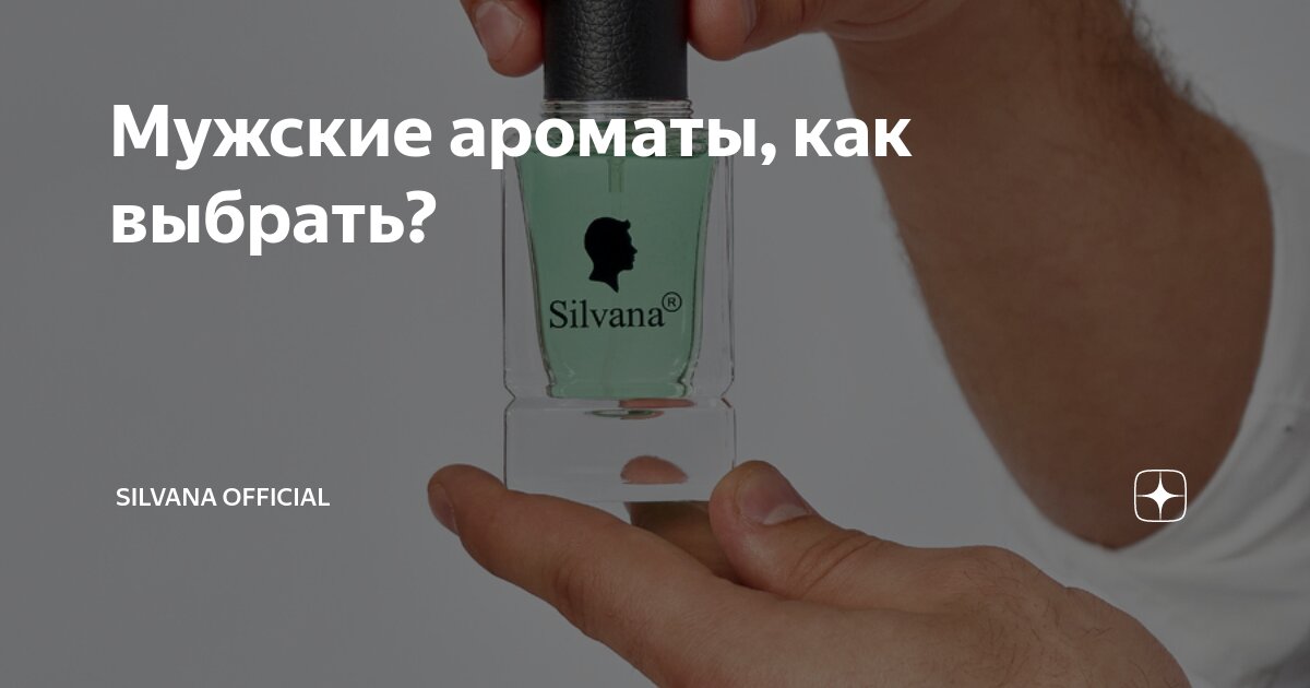 Мужские ароматы, как выбрать? | Silvana Official | Дзен