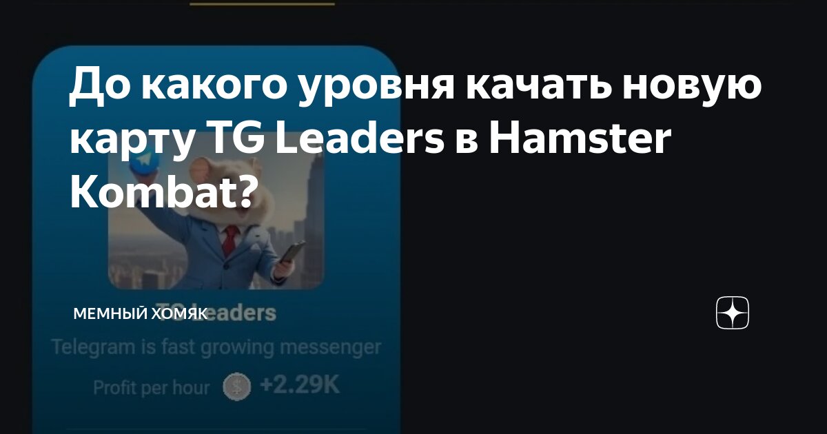 До какого уровня качать новую карту TG Leaders в Hamster Kombat ...