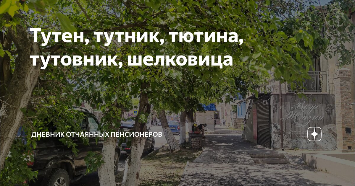 Тутен, тутник, тютина, тутовник, шелковица | Дневник отчаянных ...