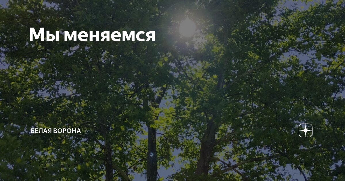 Мы меняемся Белая ворона Дзен