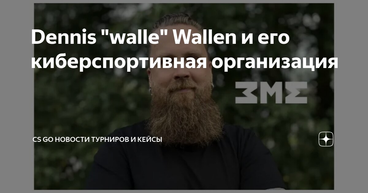 Dennis "walle" Wallen и его киберспортивная организация | CS GO Новости ...