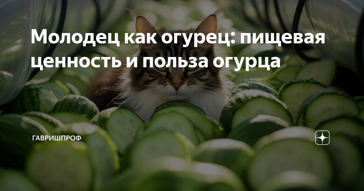 Молодец как огурец: пищевая ценность и польза огурца | ГавришПроф | Дзен