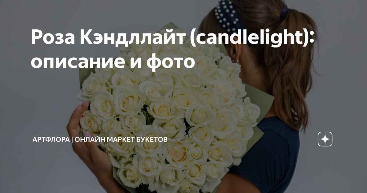 Роза Кэндллайт (candlelight): описание и фото | АртФлора | Онлайн ...