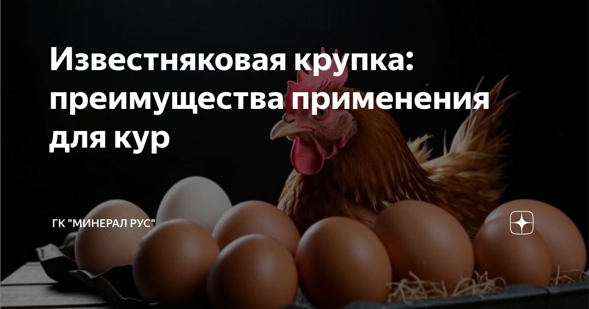 Известняковая крупка: преимущества применения для кур | ГК "Минерал Рус ...