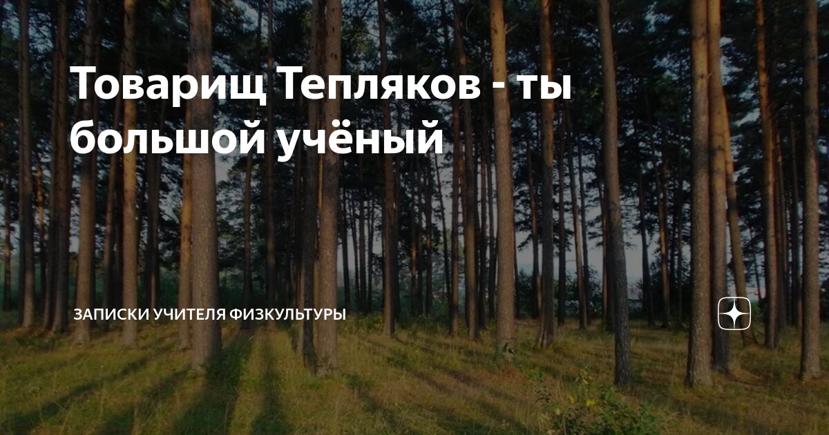 Товарищ Тепляков - ты большой учёный | Записки учителя физкультуры | Дзен