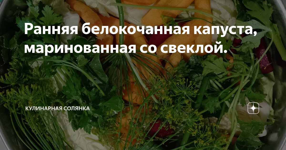 Ранняя белокочанная капуста, маринованная со свеклой. | Кулинарная ...
