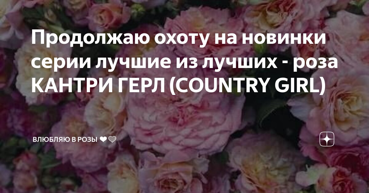 Продолжаю охоту на новинки серии лучшие из лучших - роза КАНТРИ ГЕРЛ ...