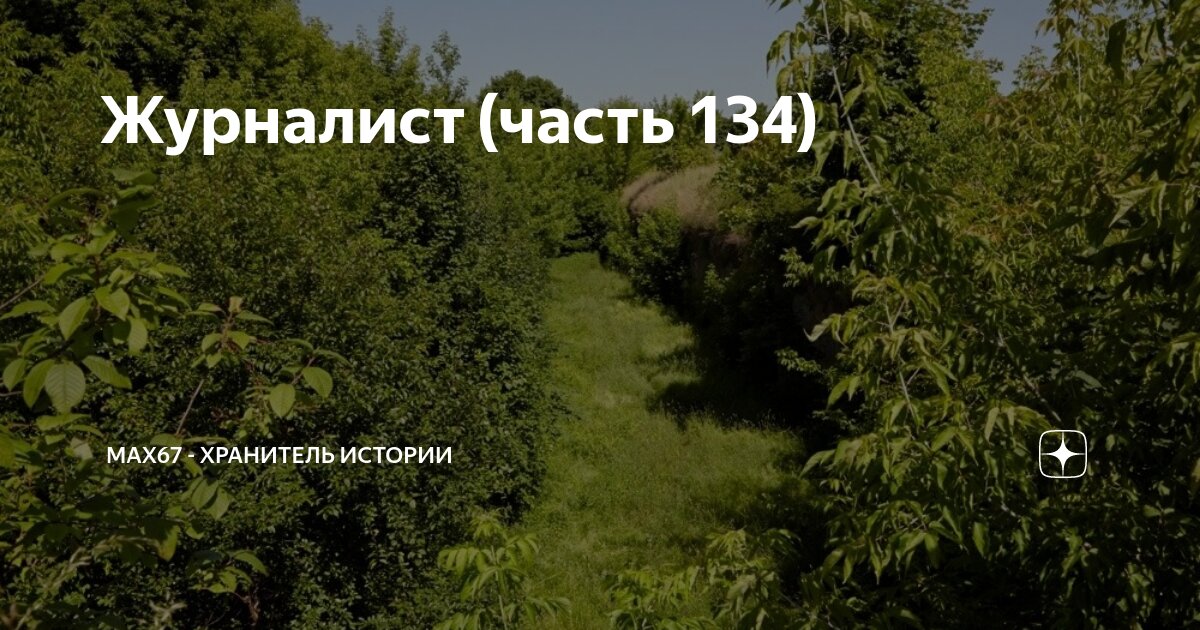 Журналист (часть 134) | MAX67 - Хранитель Истории | Дзен