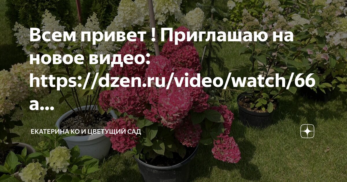 Всем привет ! Приглашаю на новое видео: https://dzen.ru/video/watch/66a… | Екатерина Ко и ...
